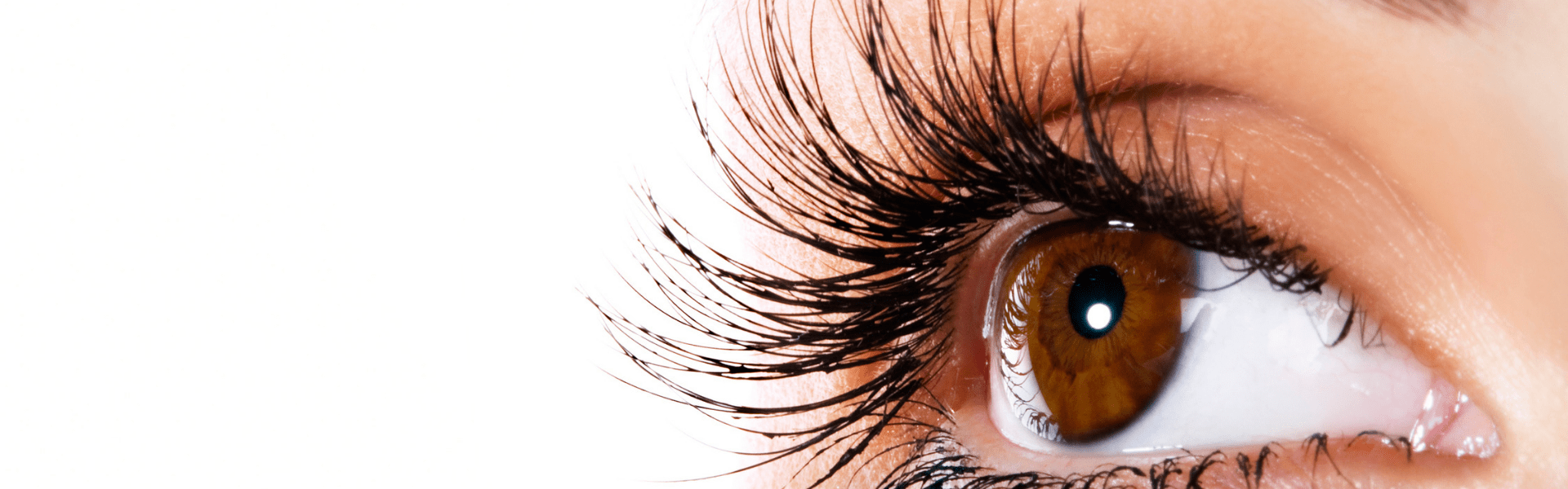 Abnormal Eyelashes | Eugene Eye Clinic | Eyelashes Eugene, Oregon ...